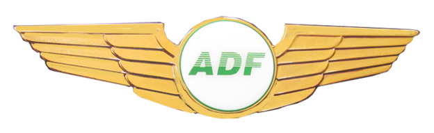 StanWing.Com - Insignia of the U.S.A.