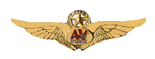 StanWing.Com - Insignia of the U.S.A.