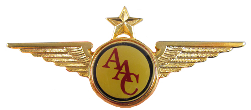 StanWing.Com - Insignia of the U.S.A.