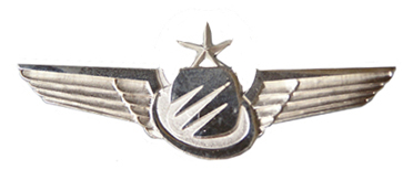 StanWing.Com - Insignia of the U.S.A.