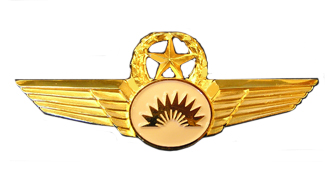StanWing.Com - Insignia of the U.S.A.