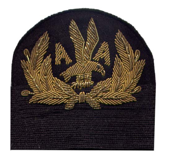 StanWing.Com - Insignia of the U.S.A.