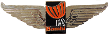 StanWing.Com - Insignia of the U.S.A.