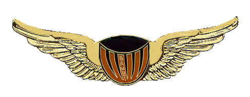 StanWing.Com - Insignia of the U.S.A.