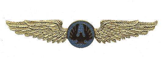 StanWing.Com - Insignia of the U.S.A.