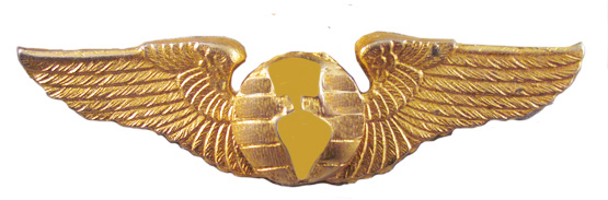 StanWing.Com - Insignia of the U.S.A.