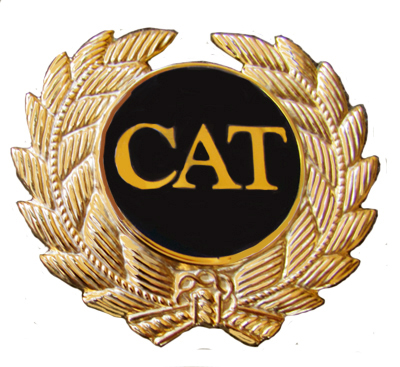 StanWing.Com - Insignia of the U.S.A.