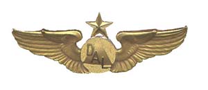 StanWing.Com - Insignia of the U.S.A.