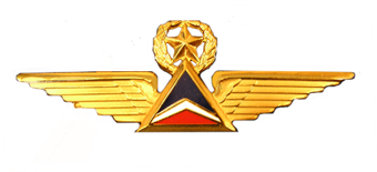 StanWing.Com - Insignia of the U.S.A.