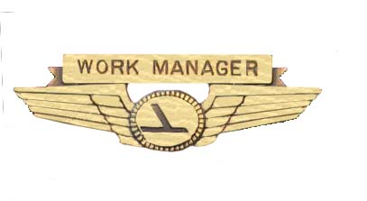 StanWing.Com - Insignia of the U.S.A.