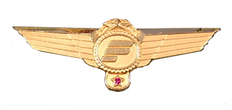 StanWing.Com - Insignia of the U.S.A.