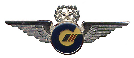 StanWing.Com - Insignia of the U.S.A.