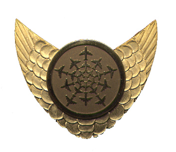 StanWing.Com - Insignia of the U.S.A.