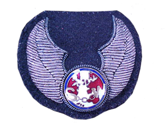 StanWing.Com - Insignia of the U.S.A.