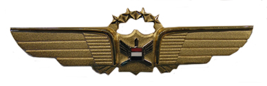 StanWings.Com - Insignia of the U.S.A.