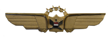 StanWings.Com - Insignia of the U.S.A.