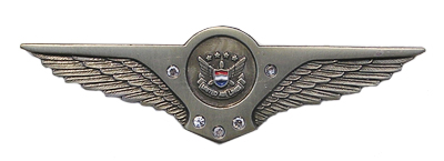 United Airlines Flight Attendant Wing