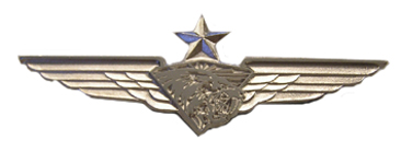 StanWing.Com - Insignia of the U.S.A.